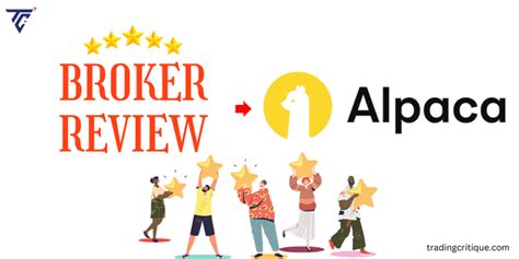 A Complete Analysis Alpaca Trading Review 2025 Pros And Cons More