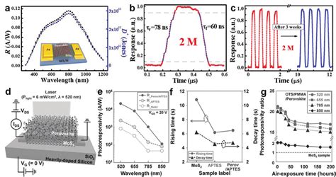 A Responsivity And Detectivity Of Perovskiteptse 2 Based Pds The Download Scientific