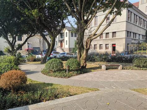 扎实开展院区环境整治工作 重庆考古