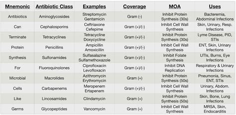 Antibiotic Classes And Drug Names Anatomy System Human Body Anatomy