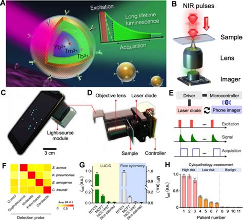 A Schematic Illustration Of Luminescence Biosensor For In Vitro Download Scientific Diagram