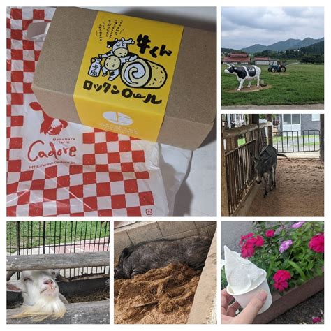 療養期間終了 暇人主婦