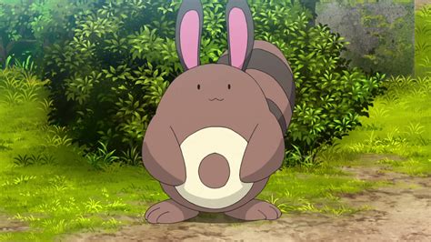 15 Facts About Sentret Facts Net