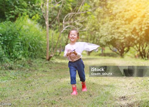 귀여운 아시아 소녀는 곤충 여름에 그물을 가진 분야에서 재생 하는 밀 짚 모자를 착용 개념에 대한 스톡 사진 및 기타 이미지 개념 곤충 공원 Istock