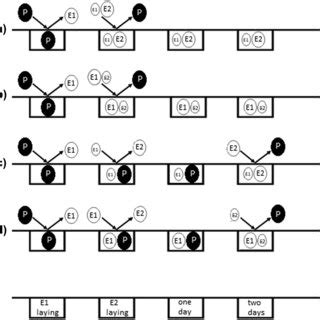 Illustration Of The Manipulation Performed For A And B Synchronous Download Scientific