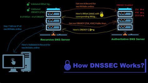 What Are The Components Of Dnssec And How It Works