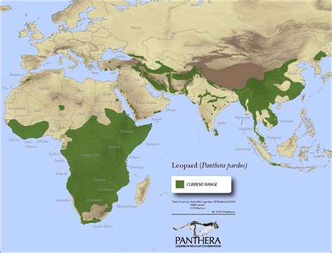 Leopard Range