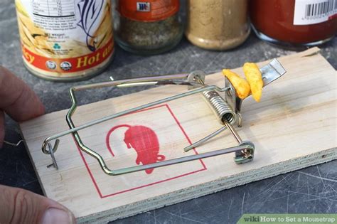 How To Set A Mousetrap 12 Steps With Pictures Wikihow