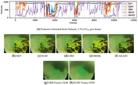 Evaluation Of Several Feature Detectors Extractors On Underwater Images Towards Vslam