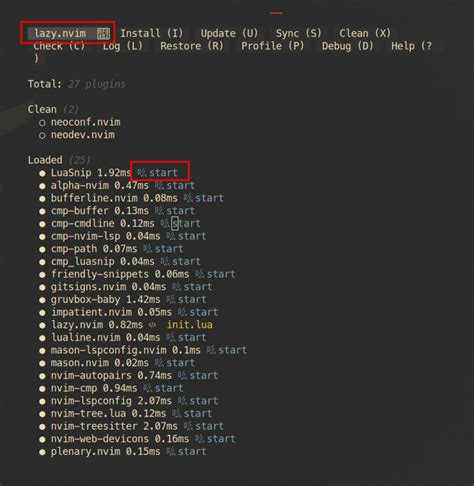 Neovim Lazy Packer Manager Shows Unreadable Codes Rneovim