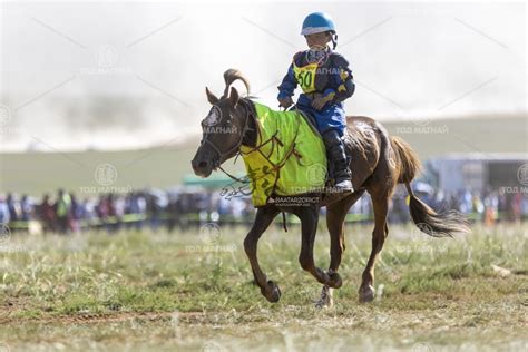 Завхан аймгийн 100 жилийн ой баруун бүсийн уралдаанд эхний 20 д хурдалсан азарганууд