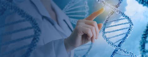 10x Genomics Chromium X Single Cell Sequencing Service Company Capitalbio