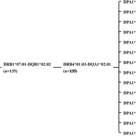 HLA Haplotype Variation Encompassing HLA ClassI And Different Loci Of Download Scientific
