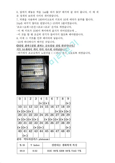 낙농 미생물학 실험 키트를 이용한 세균 동정공학기술레포트