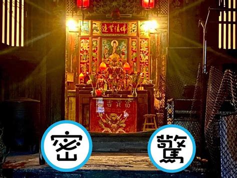 虎爺顯靈？他家神明廳前冒出「兩尊大花貓」 網笑：要拜罐罐塔