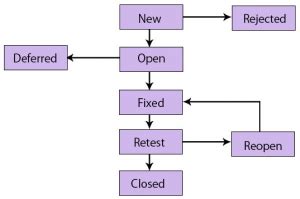 What Is A Bug In Software Testing Bug Life Cycle In Software Testing