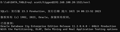 通过sqldeveloper图形对oracle中的blob文件直接导出oracle Blob 导出 Csdn博客
