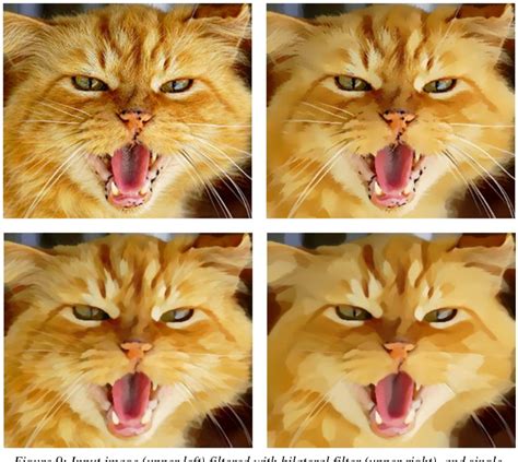 Figure 2 From Edge Preserving Smoothing Methods Overview And