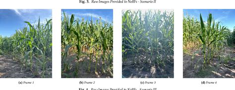 Figure 3 From Evaluating Nerfs For 3d Plant Geometry Reconstruction In Field Conditions