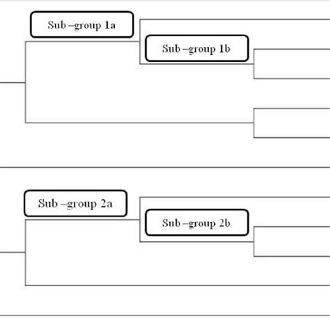 Dendrogram Showing Similarity Coefficient Of Seven Trichoderma Isolates Download Scientific