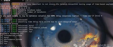 对SQL注入漏洞原理的思考 CN SEC 中文网
