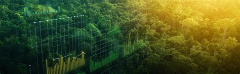 Esg Performance Data Ichitan Group