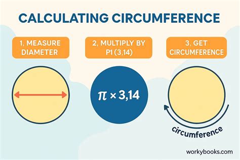 Circumference Definition Examples Quiz Faq Trivia
