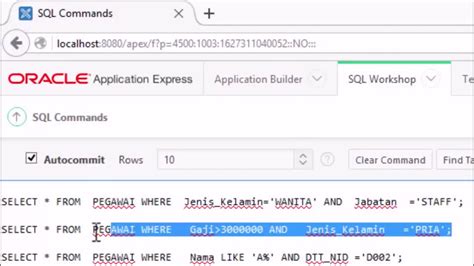 tutorial cara menggunakan oracle data modeler dan apex how to use
