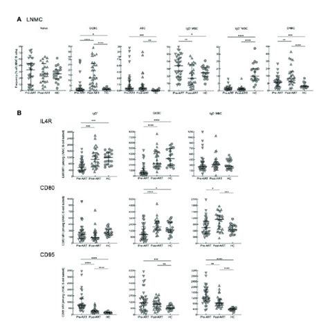 B Cell Subset Phenotyping And Surface Marker Expression In Ln A Download Scientific
