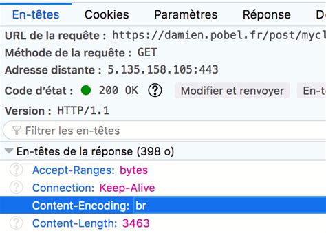 Precompress A Static Website With Brotli And Gzip