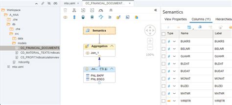 Consume Calculation Views From Xs Advanced Via Inf Sap Community