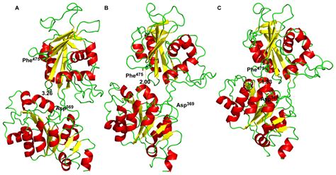 Computer Modelling Reveals New Conformers Of The Atp Binding Loop Of