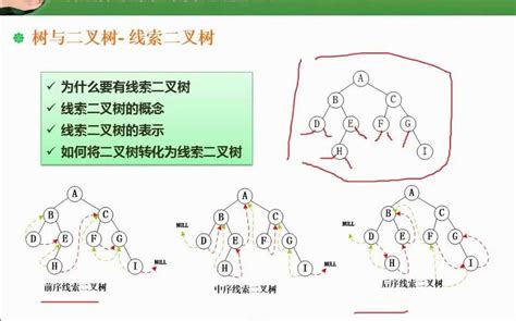 7 16 数据结构之线索二叉树 Mp4 Bilibili B站 无水印视频解析——yiuios易柚斯