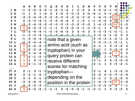 Ppt Position Specific Iterated Blast Psi Blast Powerpoint Presentation Id 3401686