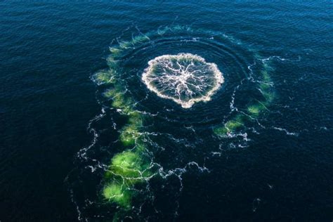 The Nord Stream Explosion Was Sabotage With Remnants Of Explosives Found Sweden Says