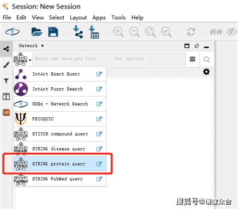 蛋白互作组学系列丨（五）蛋白互作网络的构建和可视化 相互作用 数据库 基因