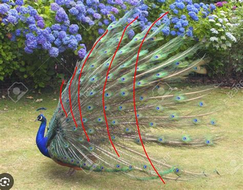 How To Bend Each Layer And Move Center Point Grasshopper Mcneel Forum