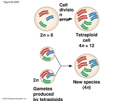 Unit 44 The Origin Of Species Ppt Download