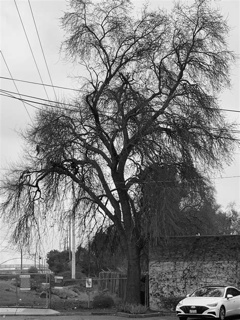 Spectral Faces By Slightlytheklown On Deviantart