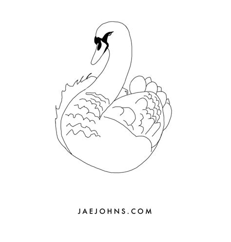 How To Draw A Swan