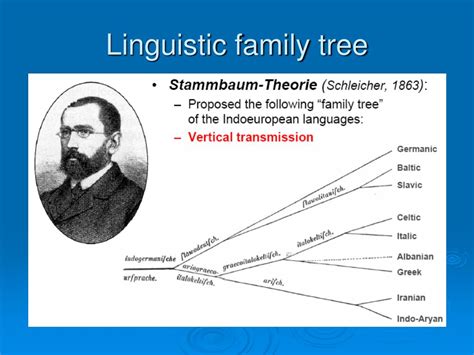 PPT Constructing Linguistic Phylogenetic Tree 语言谱系树的构建 PowerPoint Presentation ID