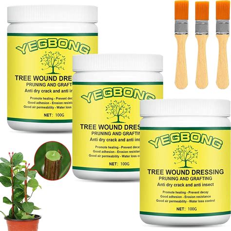 Amazon Com Tree Wound Sealer New Tree Pruning Sealer Tree Pruning Sealer Tree Repair