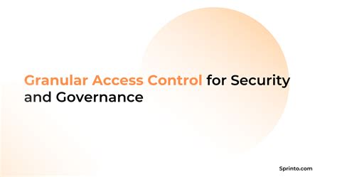 Granular Access Control For Security And Governance Sprinto