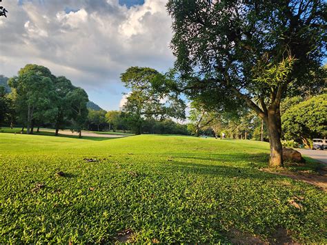 동남아태국 치앙마이 골프여행 하이랜드 알파인 노스힐cc 비교