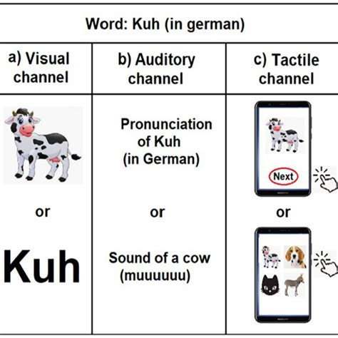Examples Of Visual Auditory And Tactile Modalities To Provide