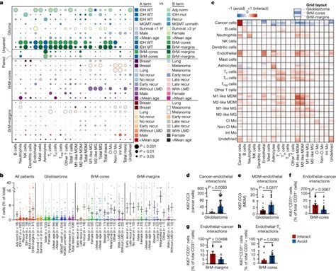 Single Cell Spatial Immune Landscapes Of Primary And Metastatic Brain Tumours Qians Blog