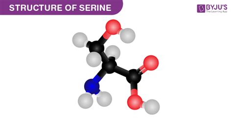 Serine Structural Formula