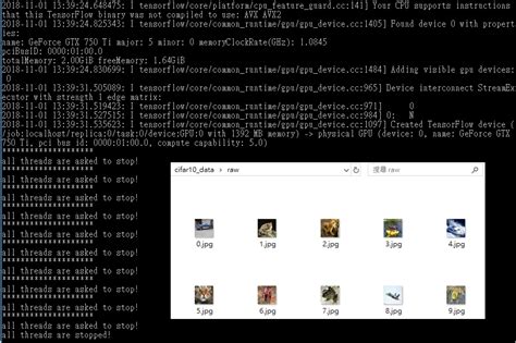 Cifar 10 Picture Storage 這個範例，遭遇了多個關於 Tensorflow 處理 Queue By M H Su 狐狸的程式森林 Medium