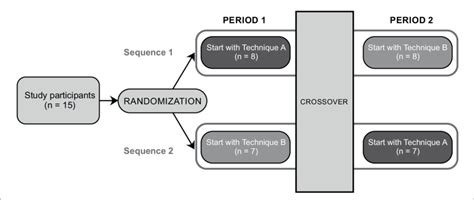 A Detailed Randomization Procedure Is Shown Download Scientific Diagram