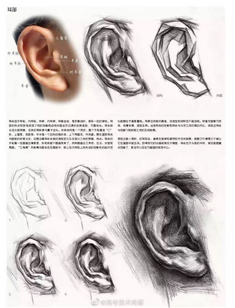 Ly Nguyễn adlı kullanıcının Vẽ chì panosundaki Pin Kara kalem portre